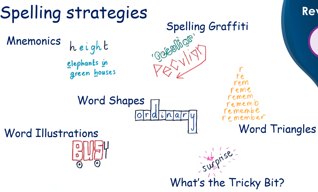 Kingsleigh Primary School - Year 4